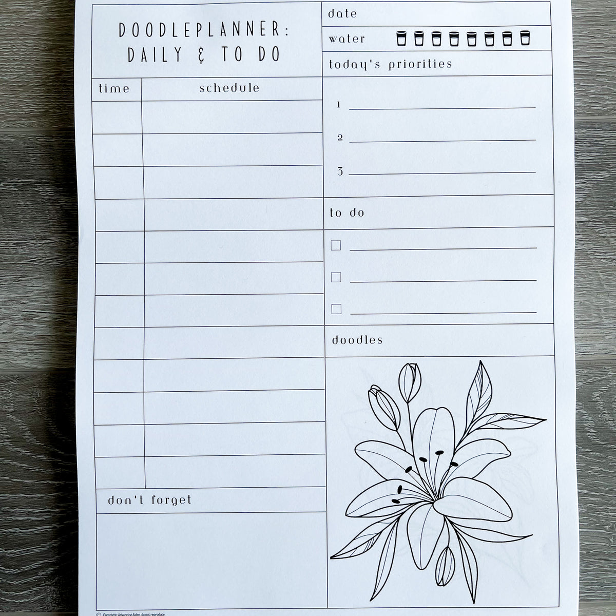 (Last Chance Doodle) ADHD Daily Planner with To Do List DoodlePlanner ...
